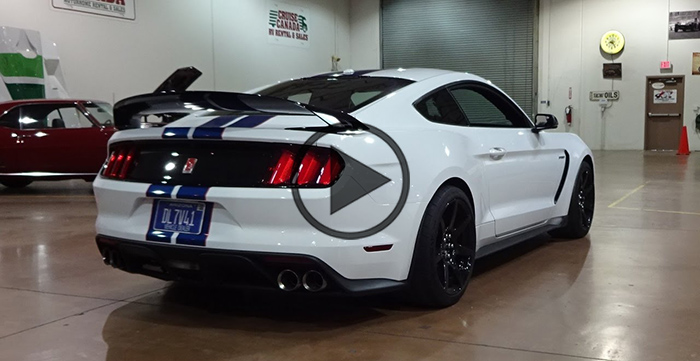 2017 Ford Mustang Shelby GT350R in White Paint - Muscle Car Fan